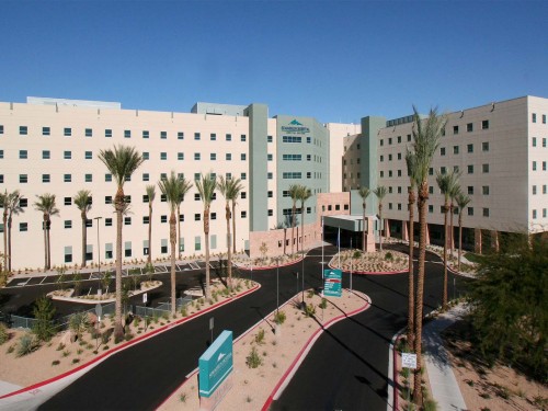 Summerlin Hospital - JW Zunino Landscape Architecture